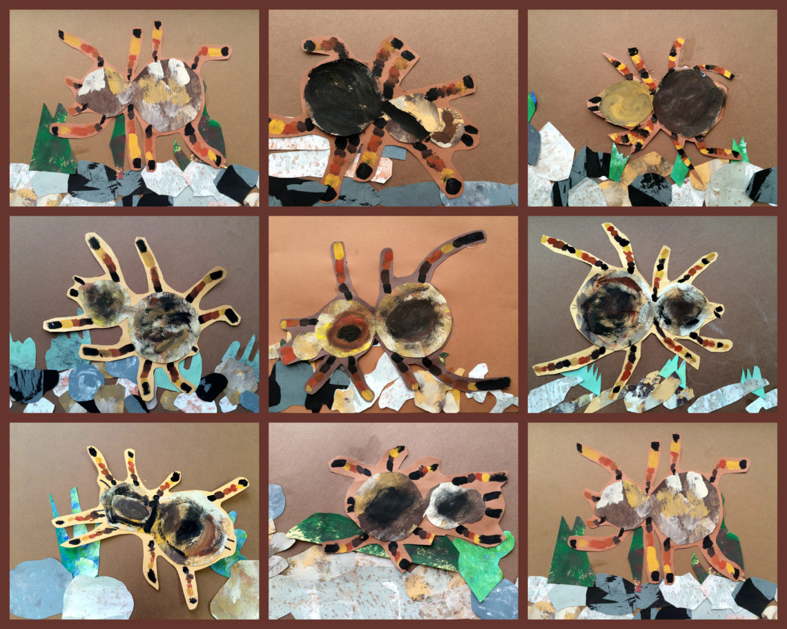 Spiders and Tarantulas