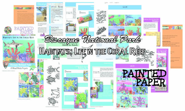PPA Life in the Coral Reef Biscayne National Park preview