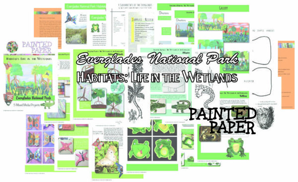 PPA Life in the Wetlands Everglades National Park preview