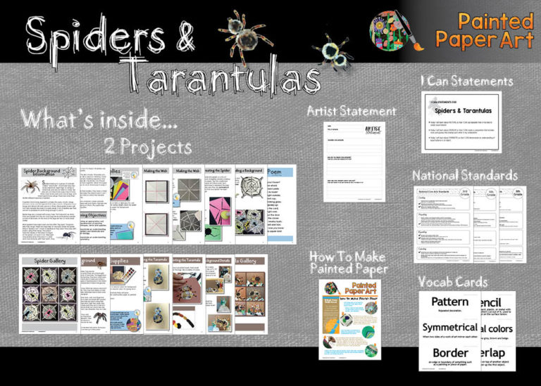 Spiders and Tarantulas