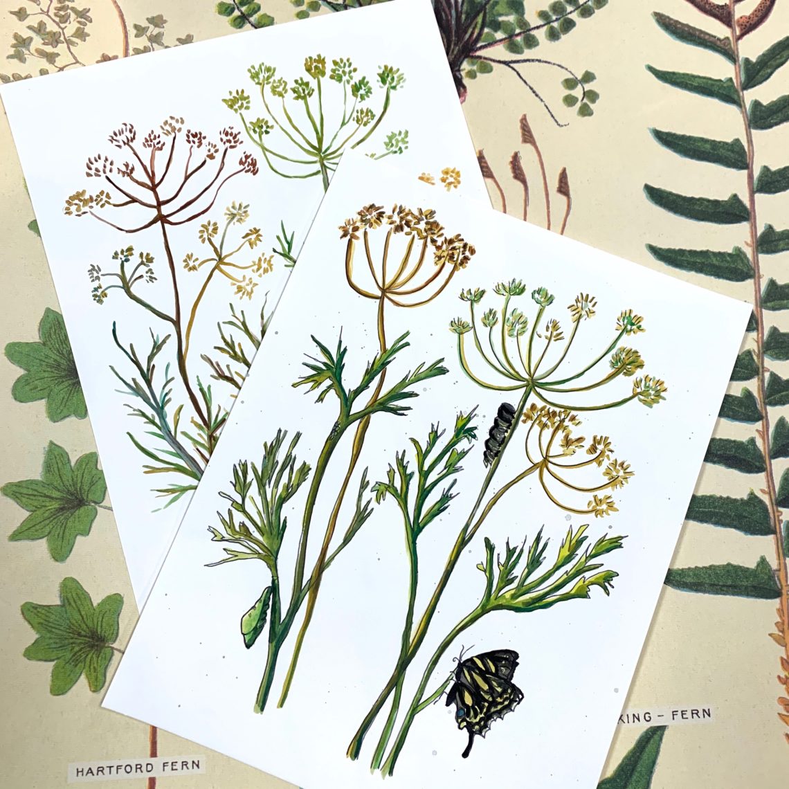 Nature Study – Maria Sibylla Merian – Painted Paper Art