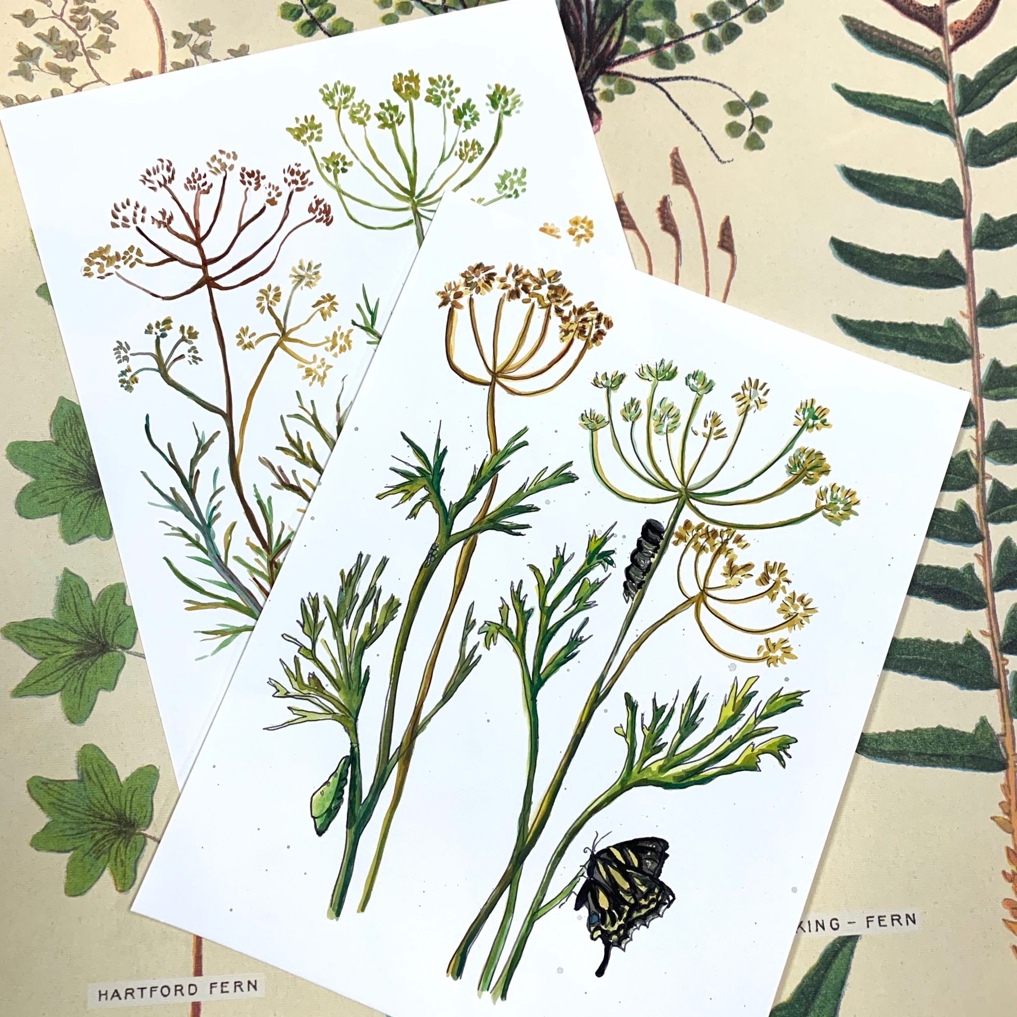 Nature Study – Maria Sibylla Merian – Painted Paper Art