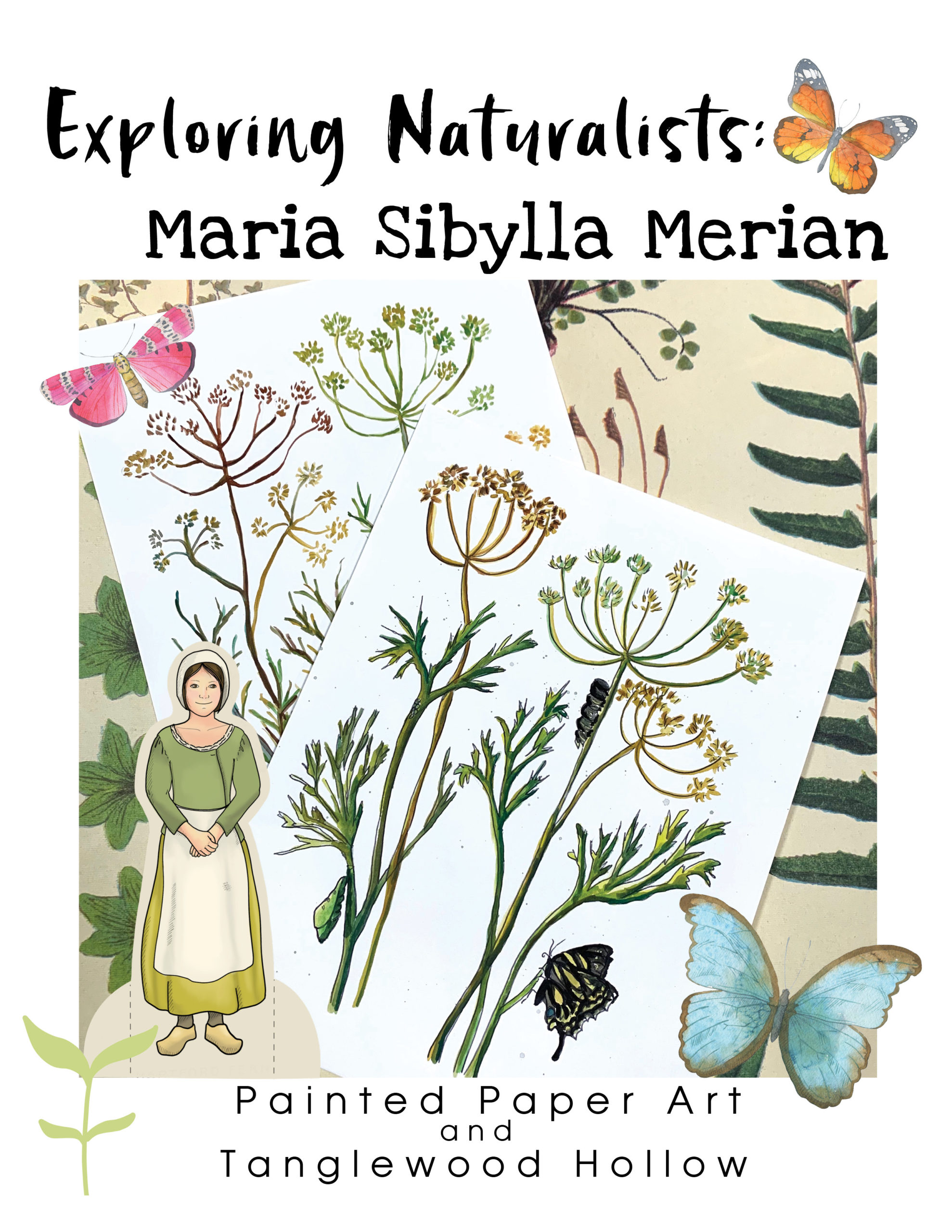Nature Study – Maria Sibylla Merian