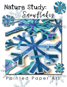 Nature Study: Snowflakes