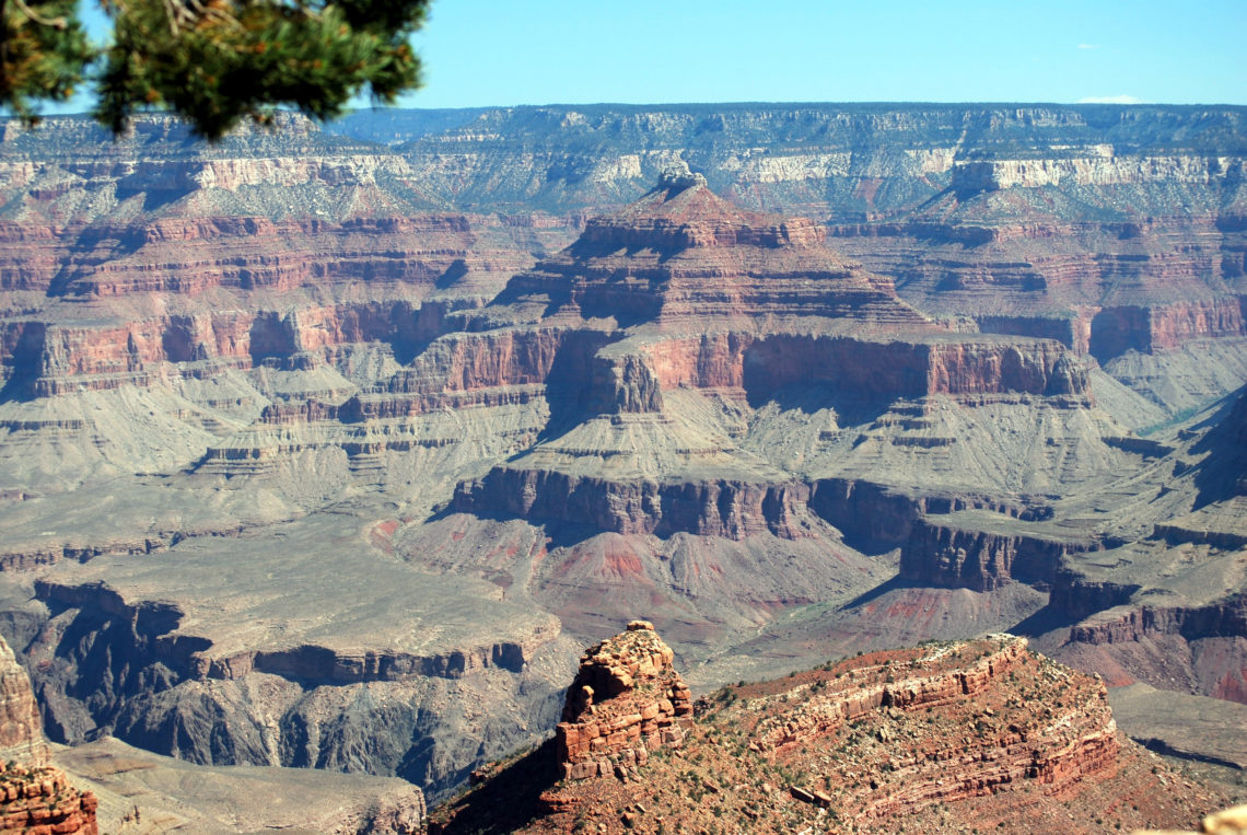 Habitats: Grand Canyon