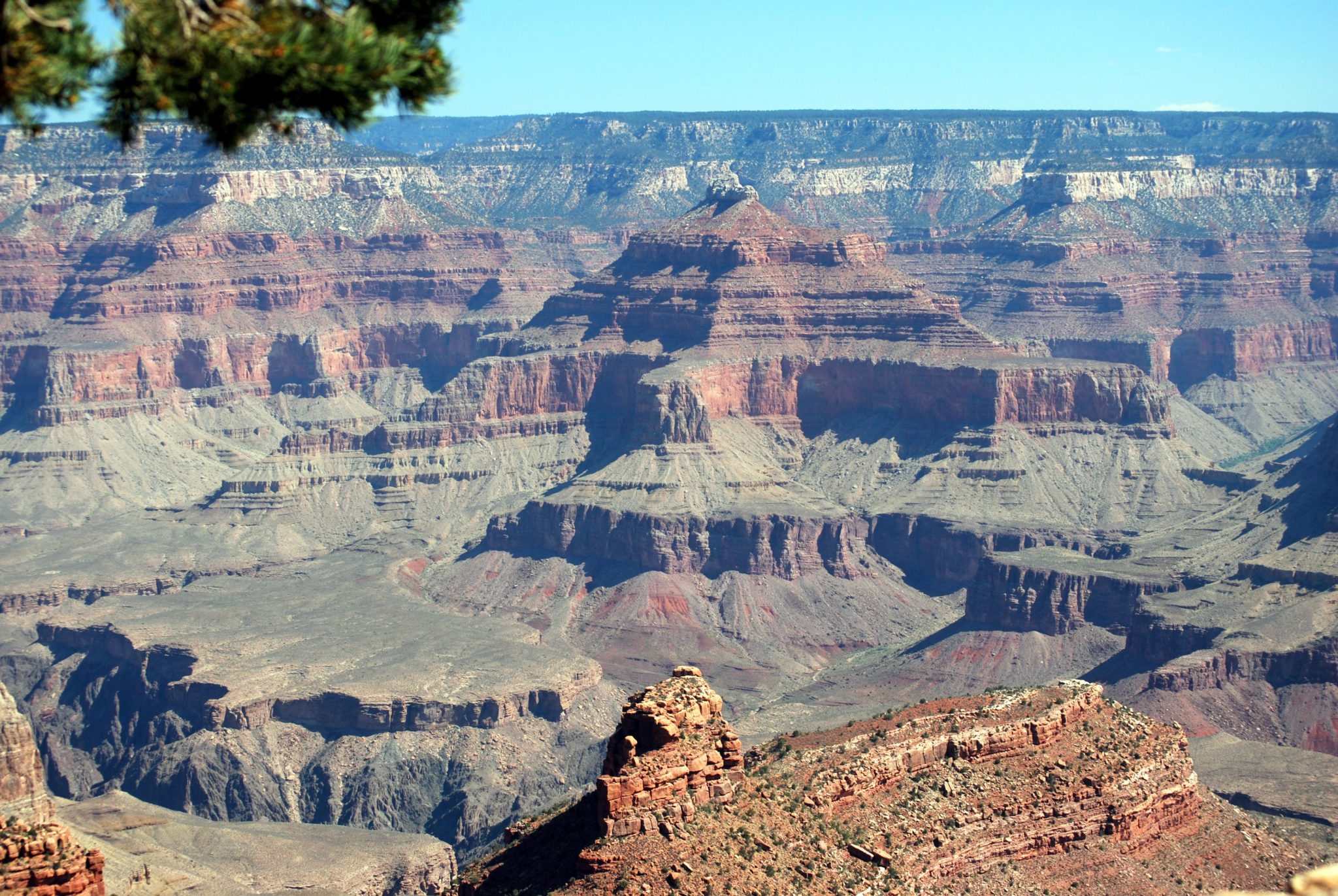 Habitats: Grand Canyon