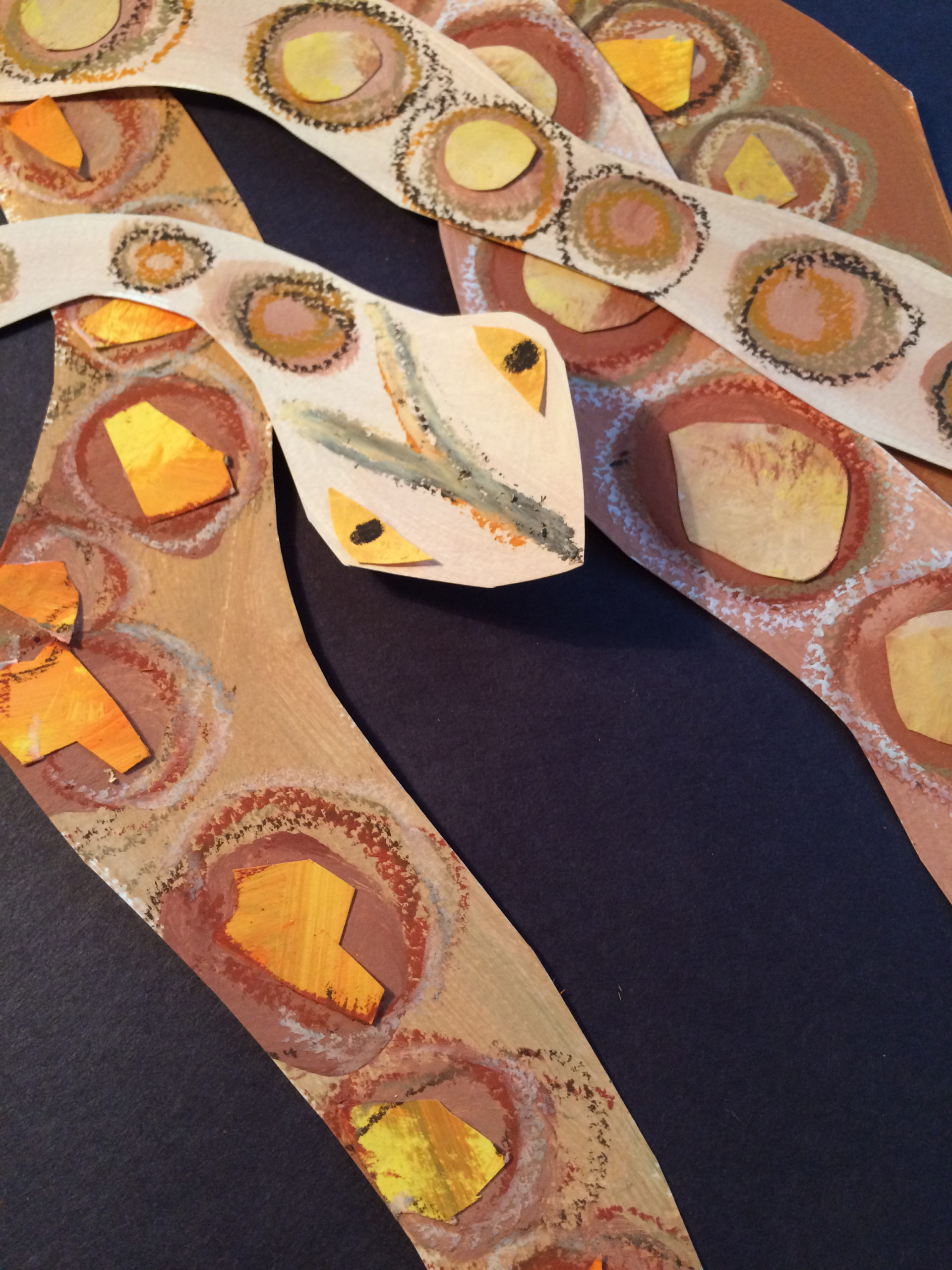 Habitats: Grand Canyon