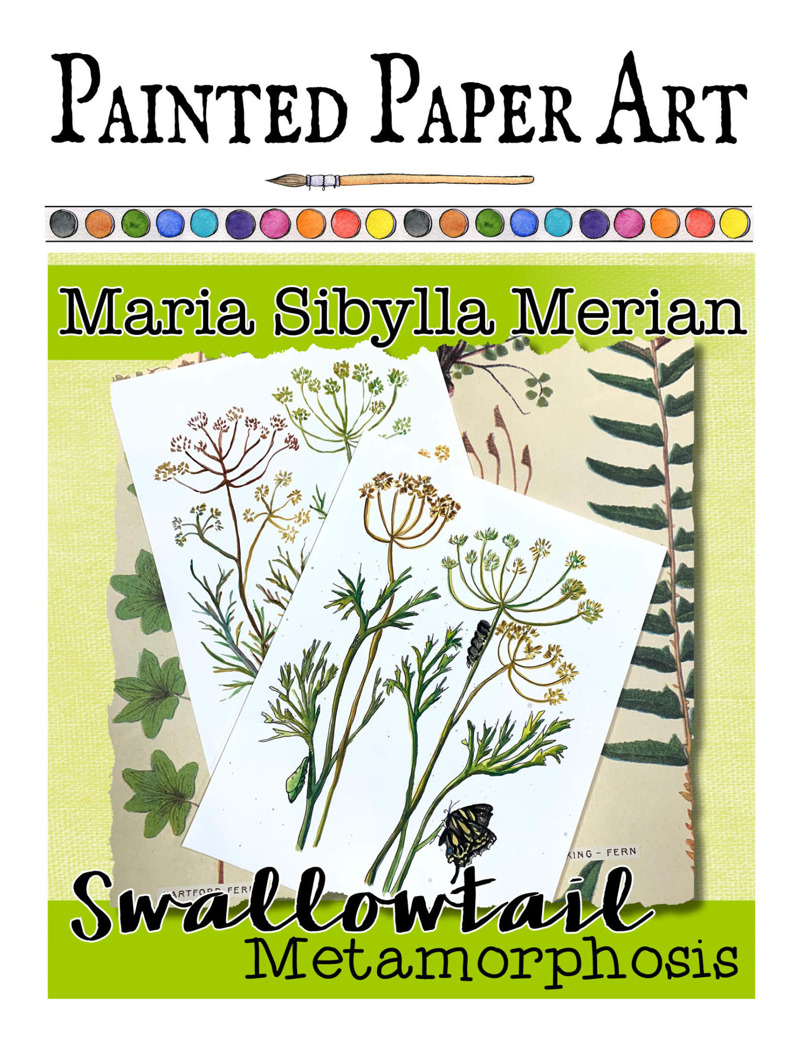 Nature Study – Maria Sibylla Merian