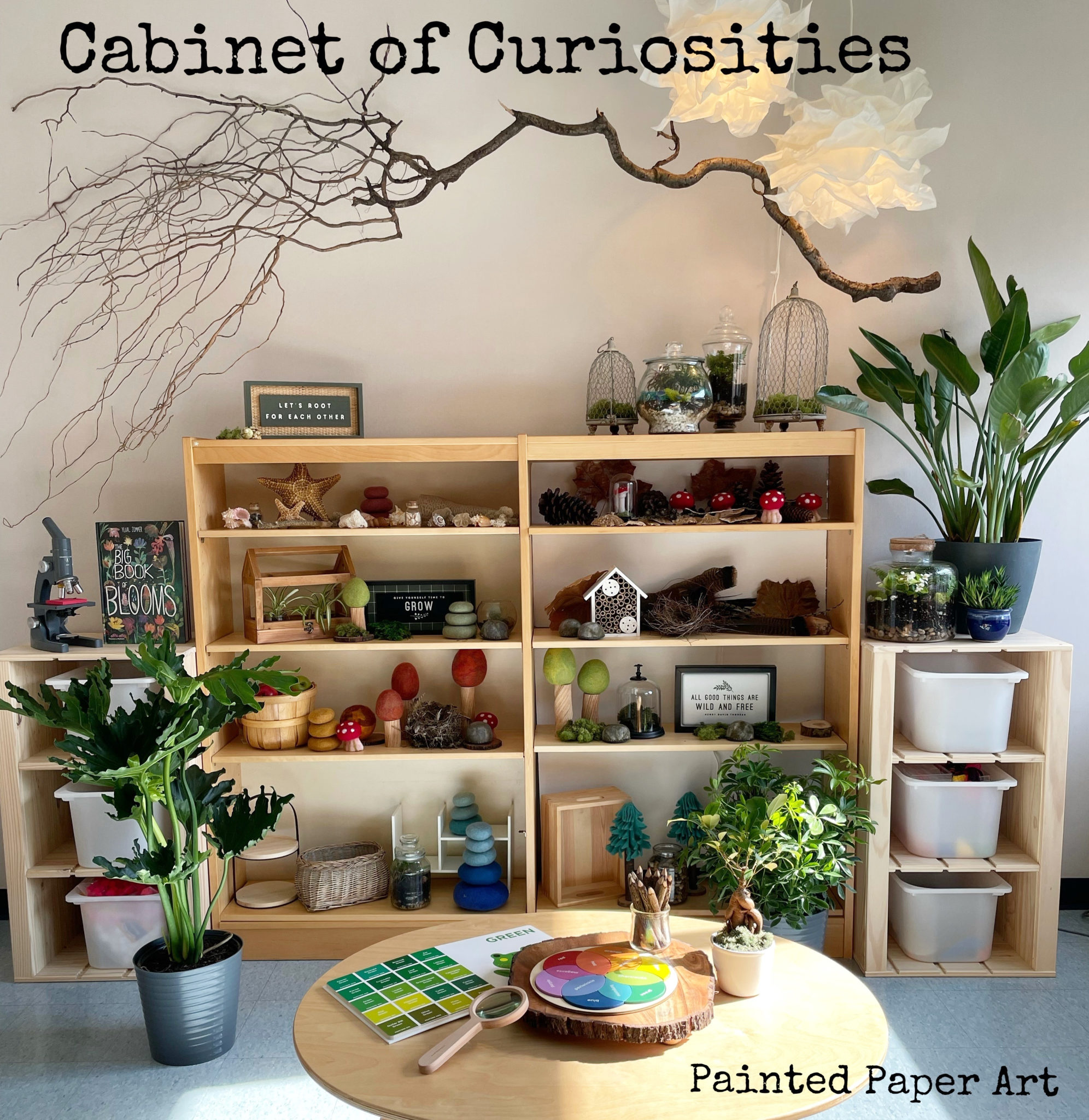 Cabinet of Curiosities