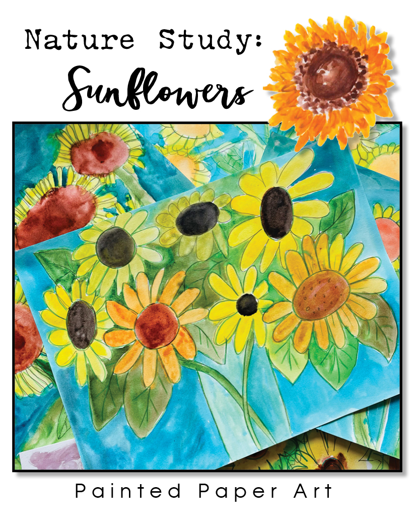 Nature Study: Sunflowers