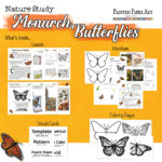 Nature Study: Monarch Butterflies