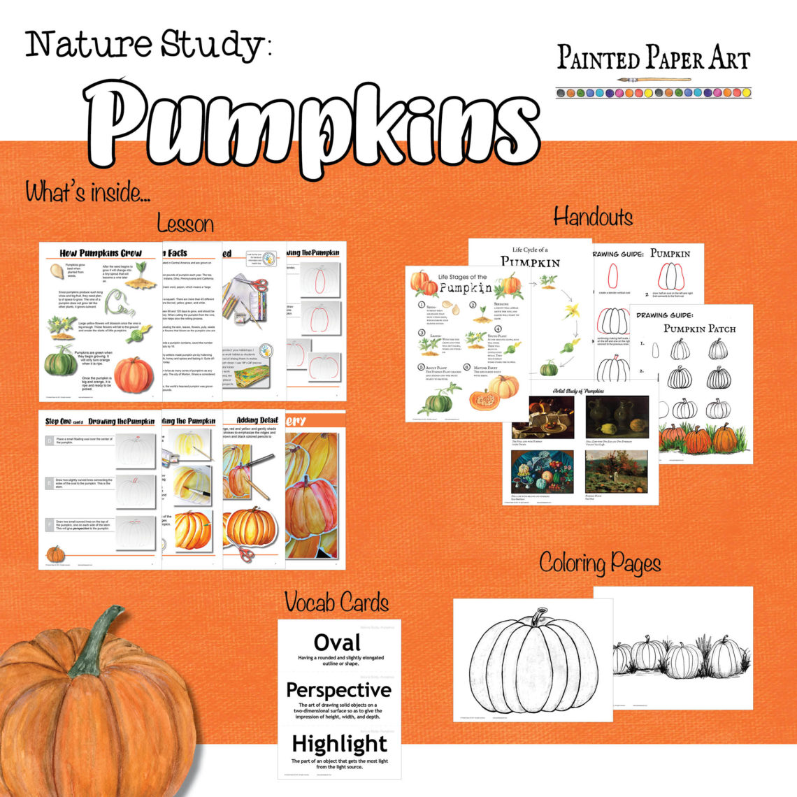 Nature Study: Pumpkins