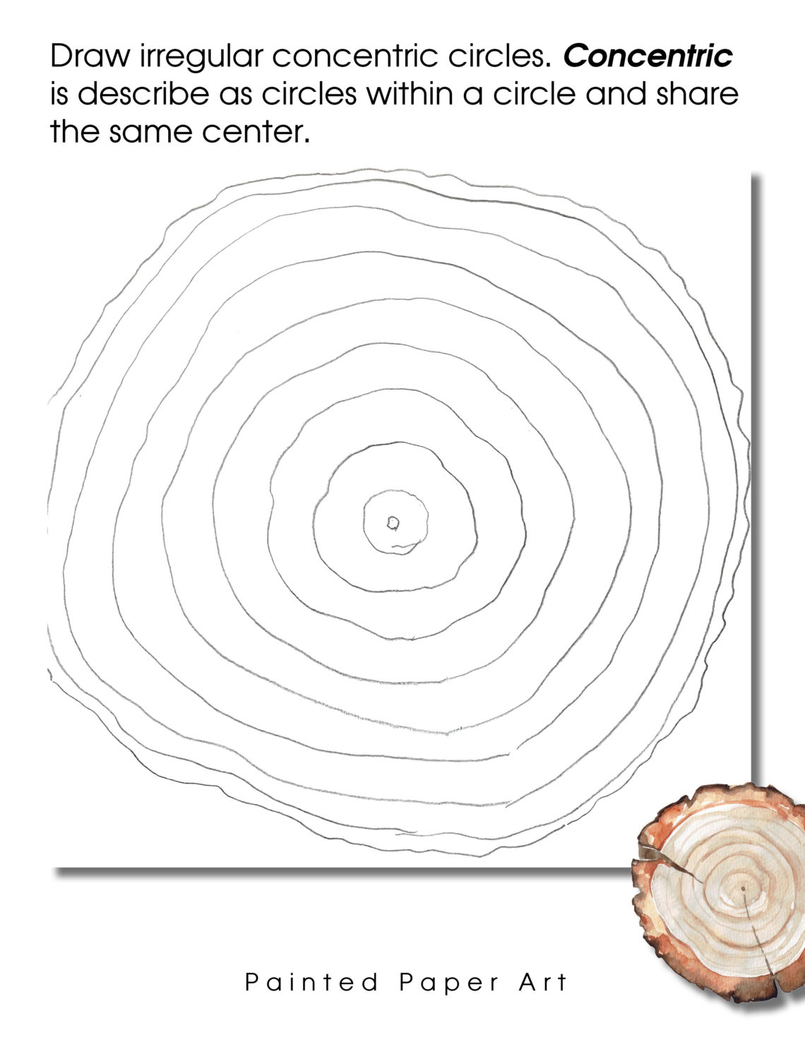 Nature Study: Tree Trunk Slices