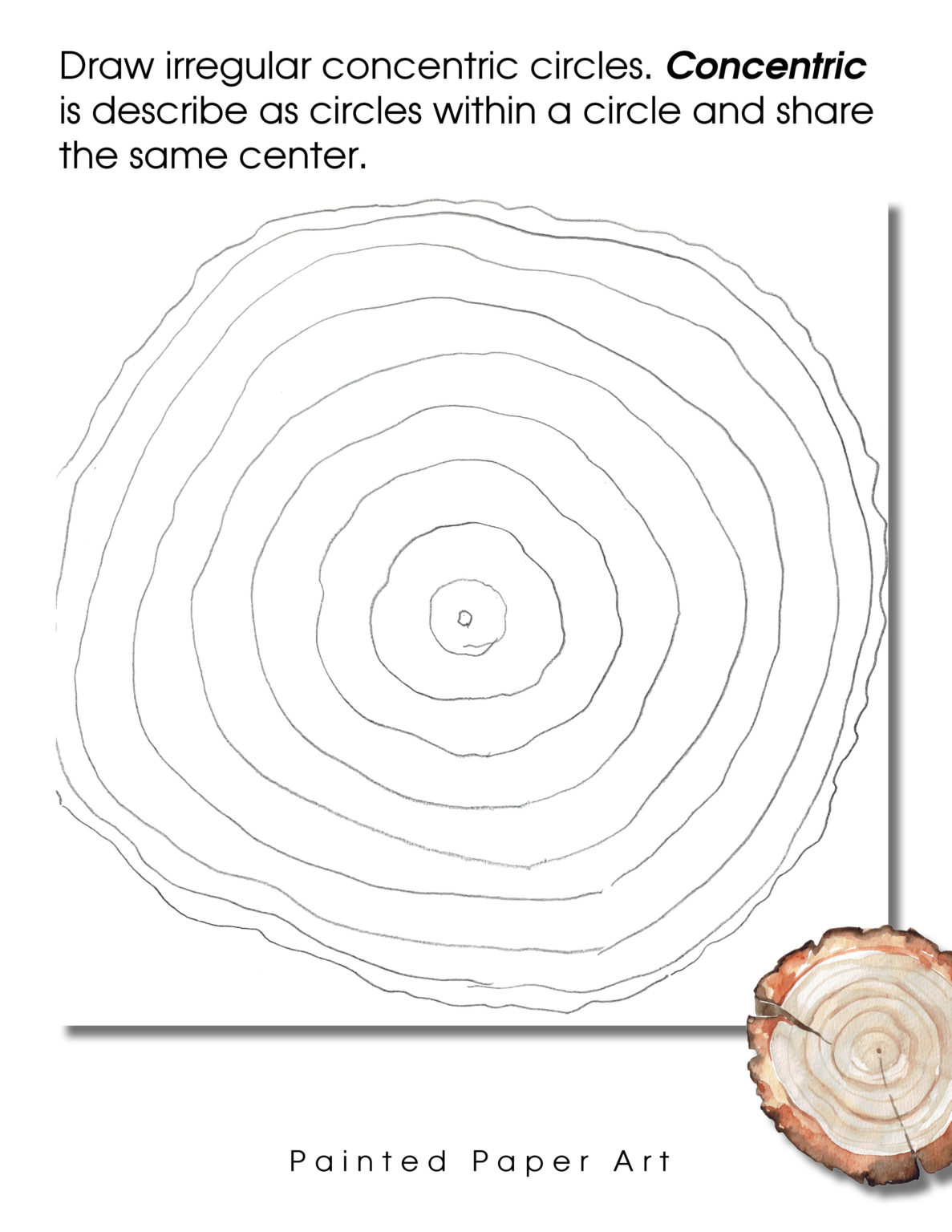 Nature Study: Tree Trunk Slices