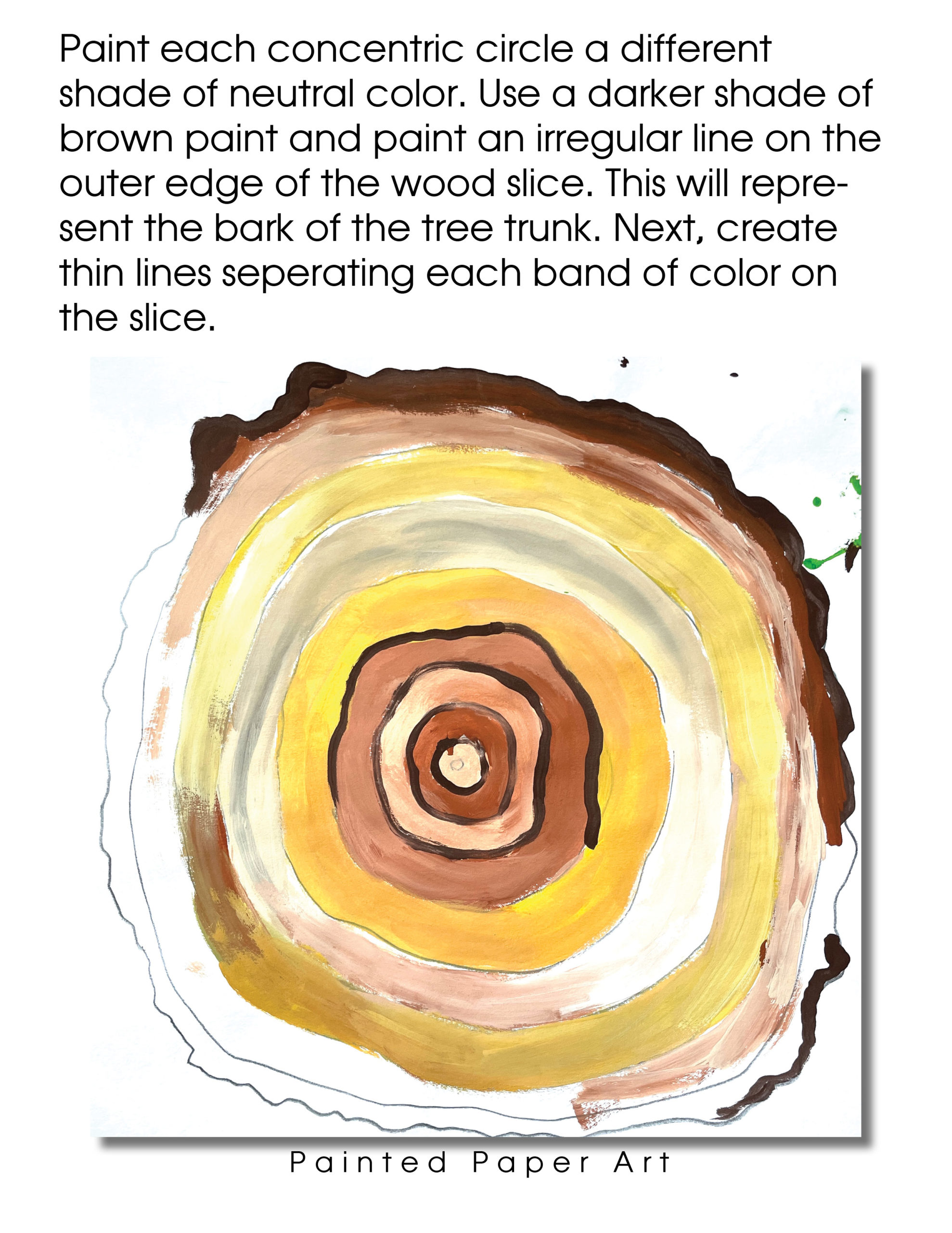 Nature Study: Tree Trunk Slices
