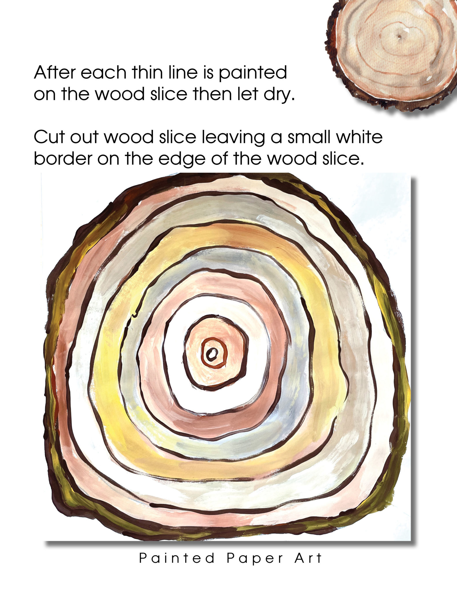 Nature Study: Tree Trunk Slices