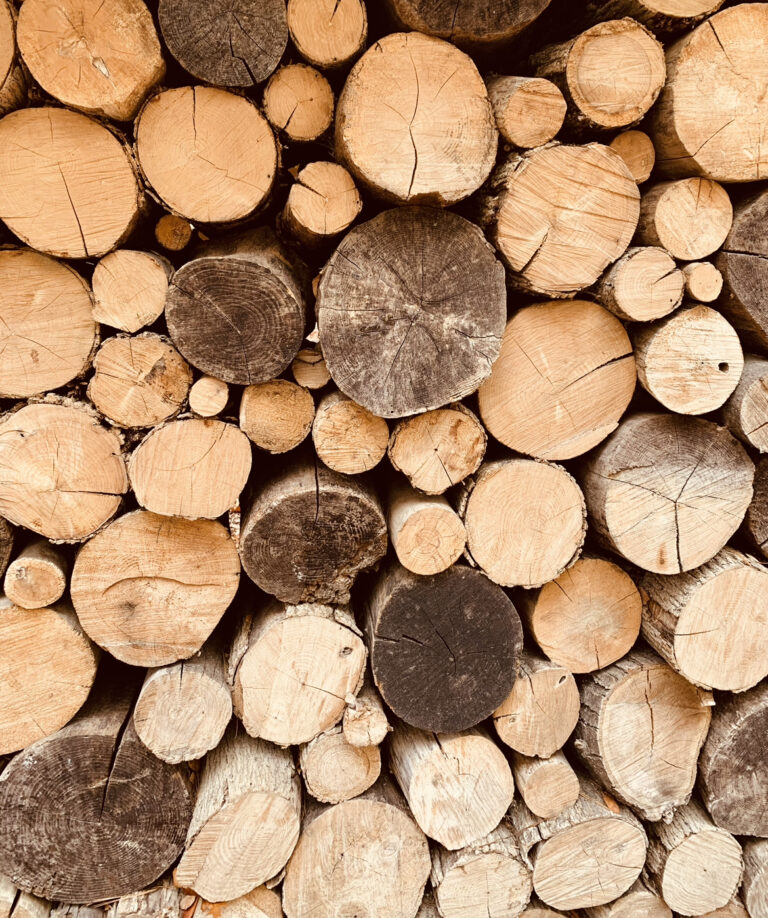 Painted Paper Art – Page 4 – mini masterpieces of art for kids