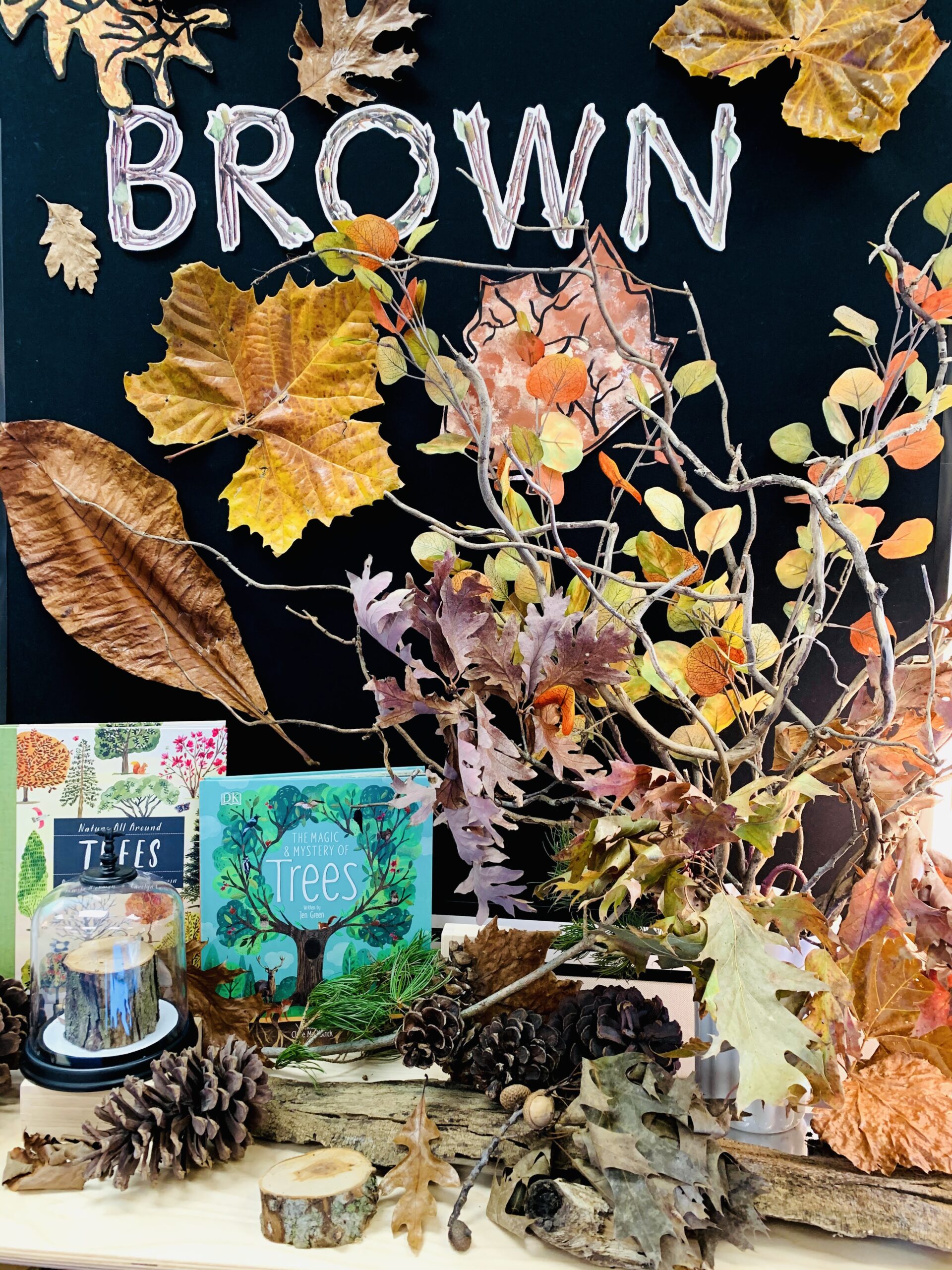 Color Study: Brown