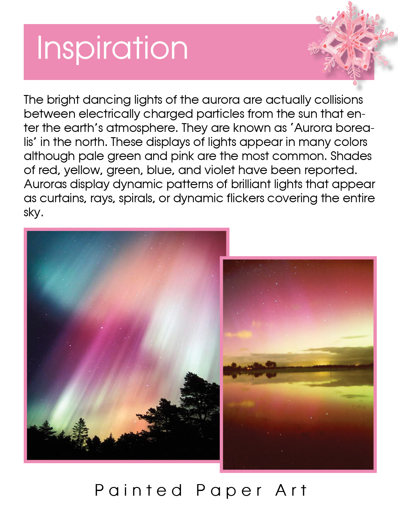 Winter Woods with Northern Lights